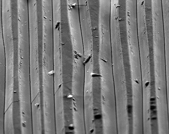 Vinyl Record Grooves Magnified 1,000x - DAK Industries