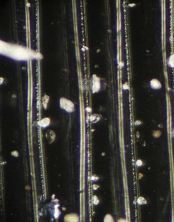 Vinyl Record's Grooves at 1,000x, Using an Electron Microscope - DAK ...