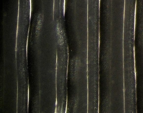 Vinyl Record's Grooves at 1,000x, Using an Electron Microscope - DAK ...