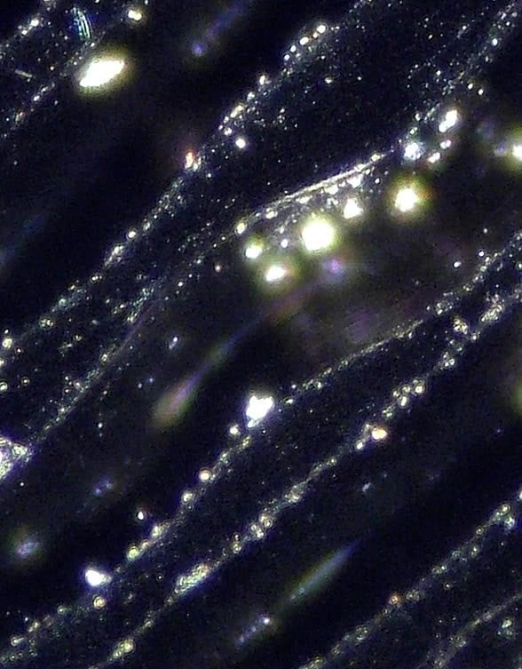 Vinyl Record Grooves Magnified 1,000x - DAK Industries
