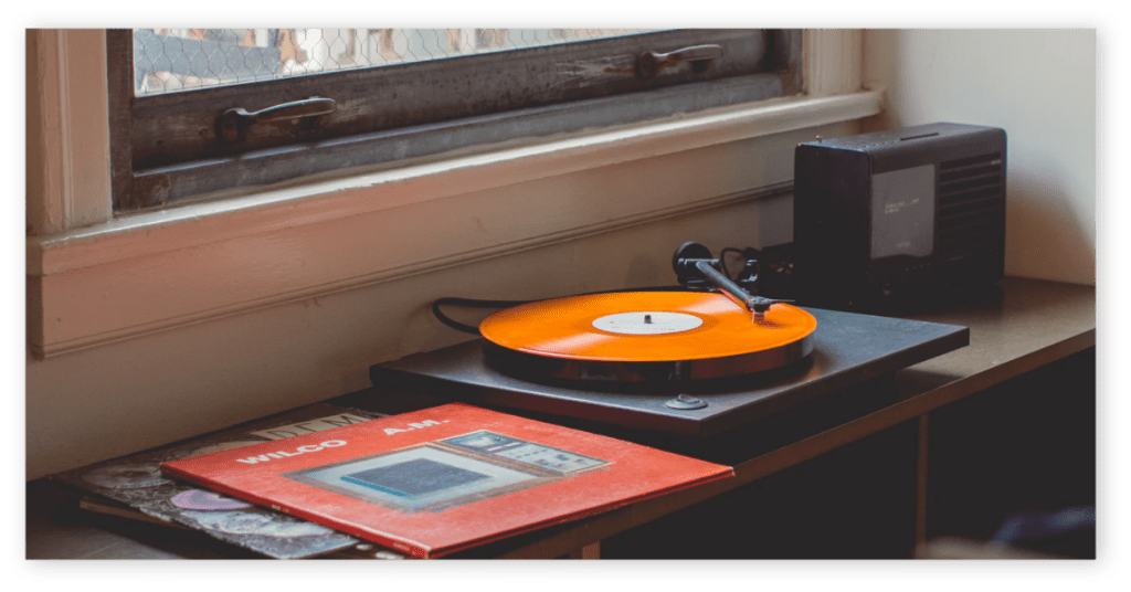 DAKs Carbon Fiber Record Brush Reviews - DAK Industries